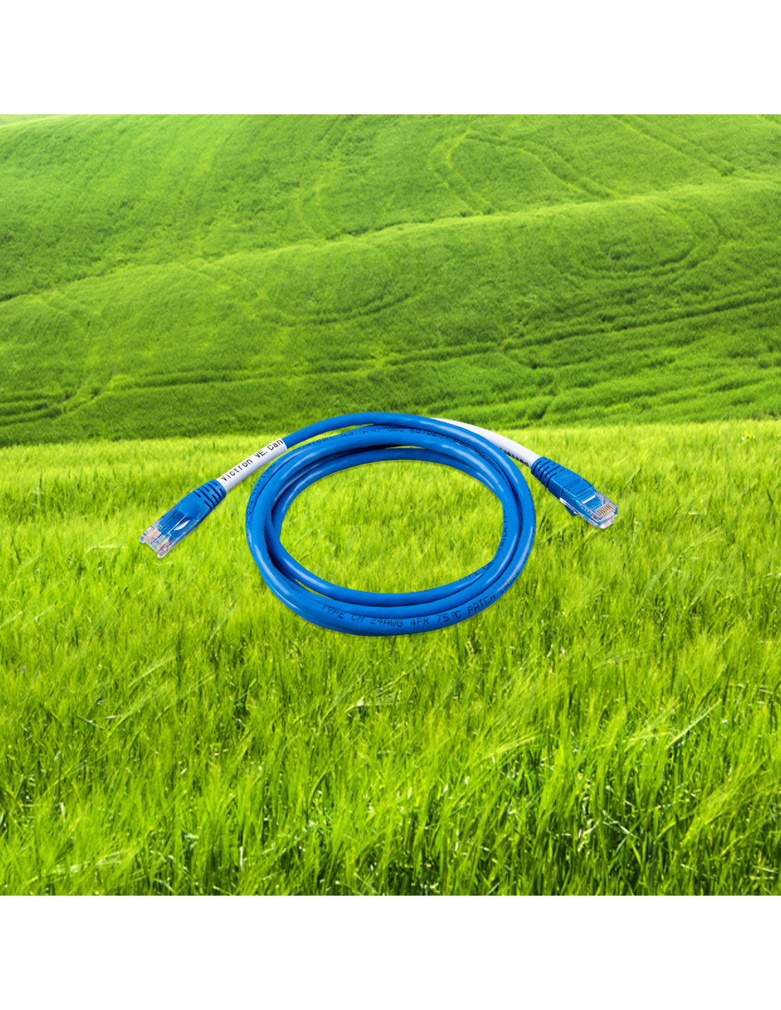 Cablu Victron VE.Can-BMS: Conectivitate de Top!